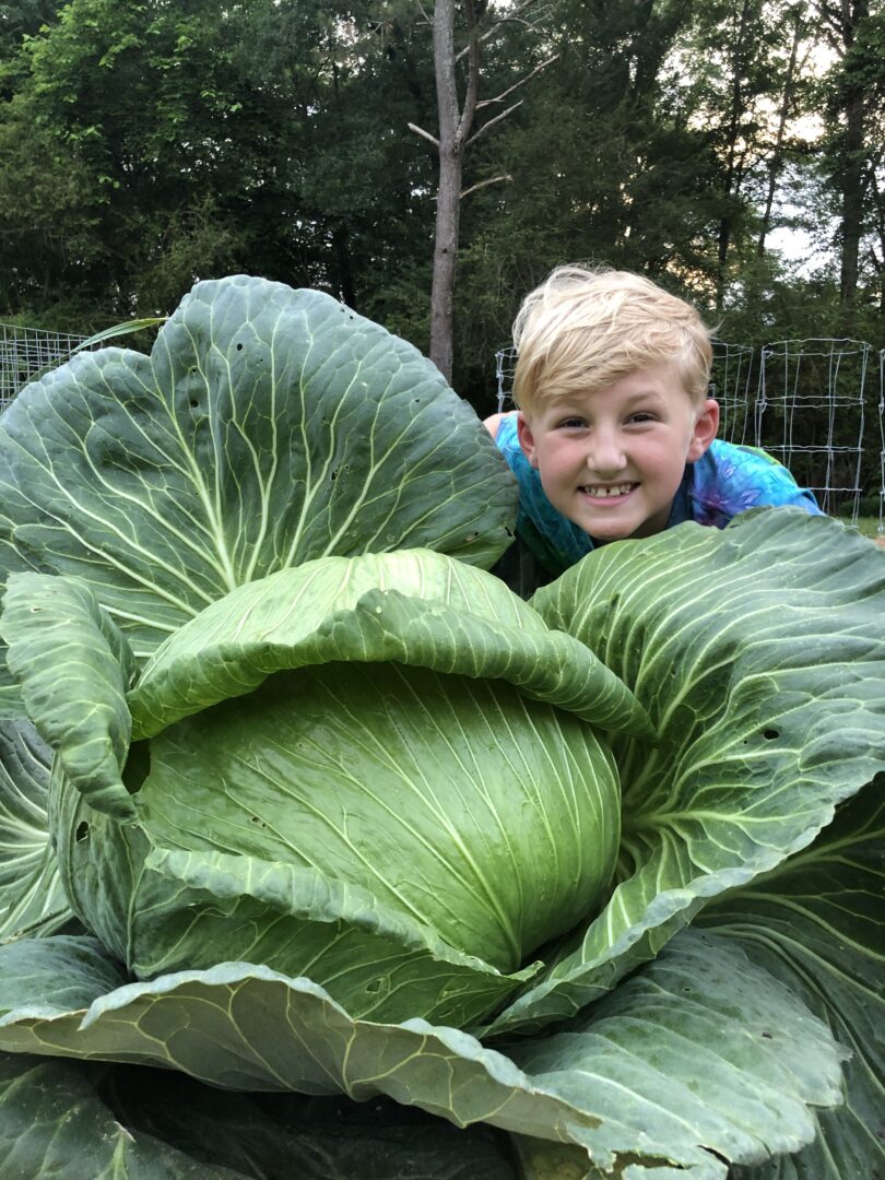 Past Winners – Bonnie Plants Cabbage Program