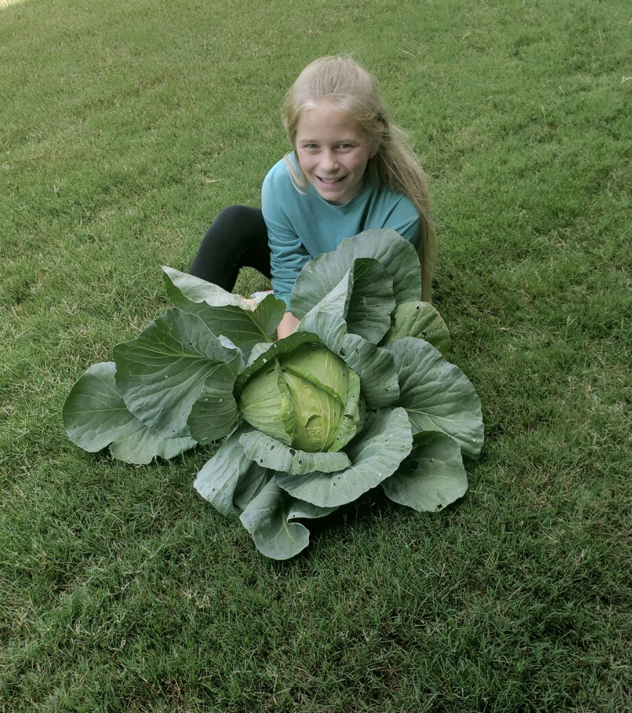 2021 -2022 Winners – Bonnie Plants Cabbage Program