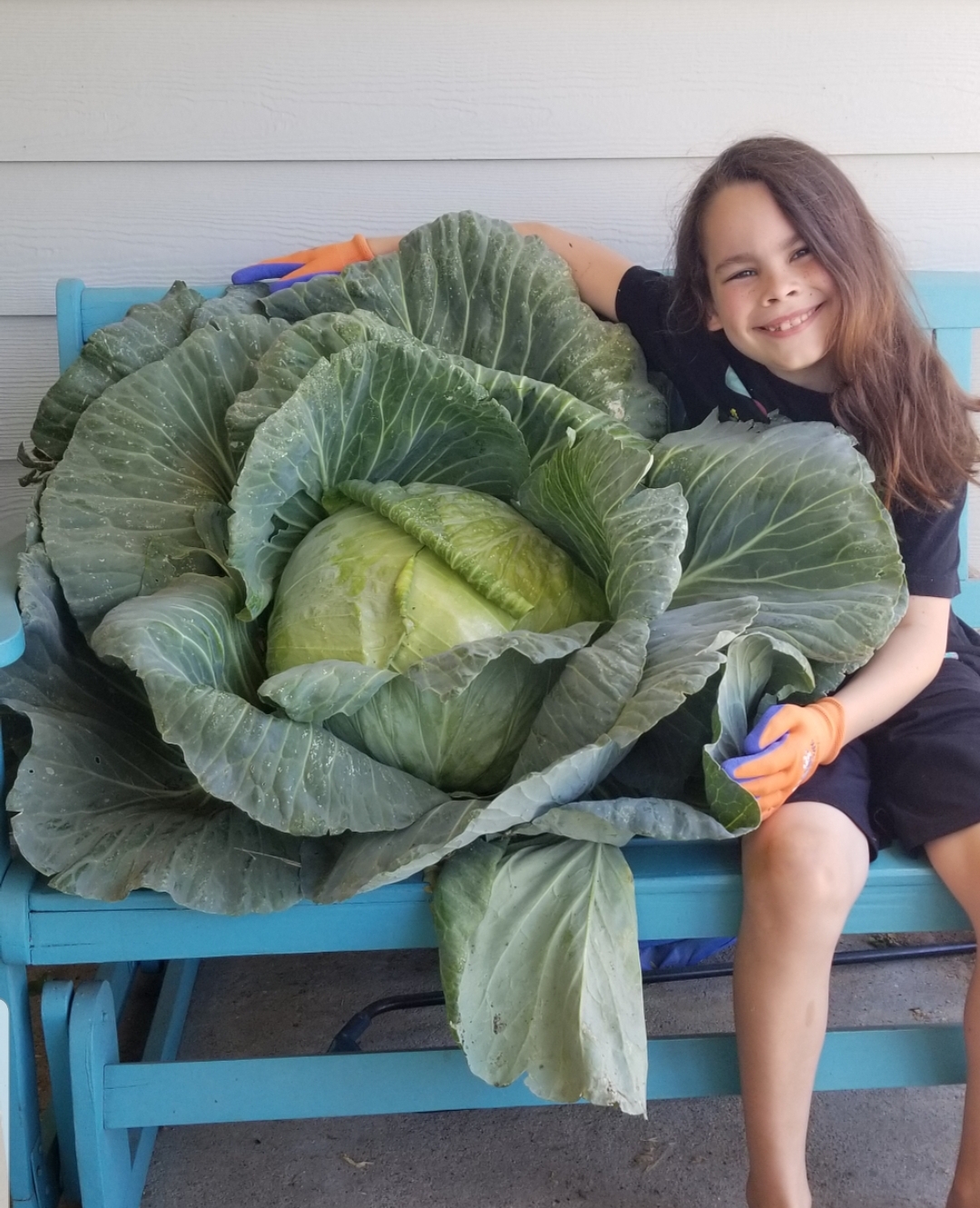 2021 -2022 Winners – Bonnie Plants Cabbage Program