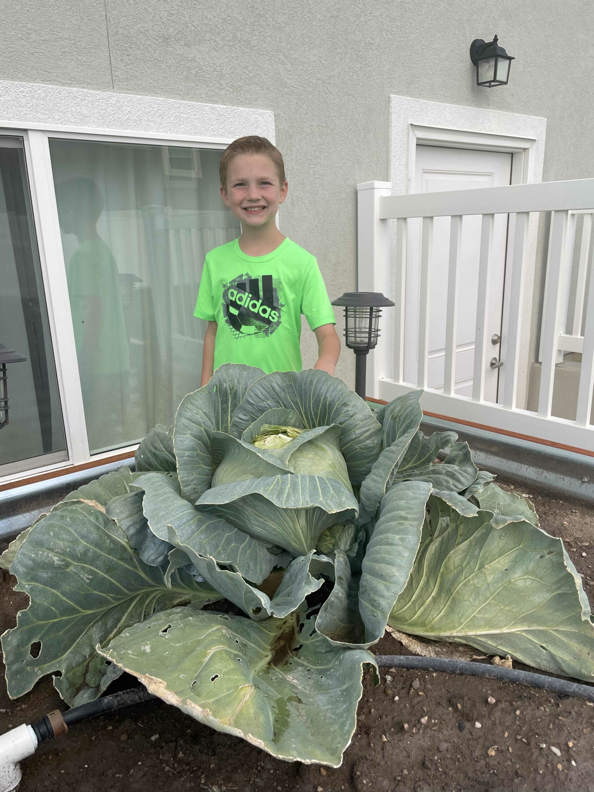 2021 -2022 Winners – Bonnie Plants Cabbage Program
