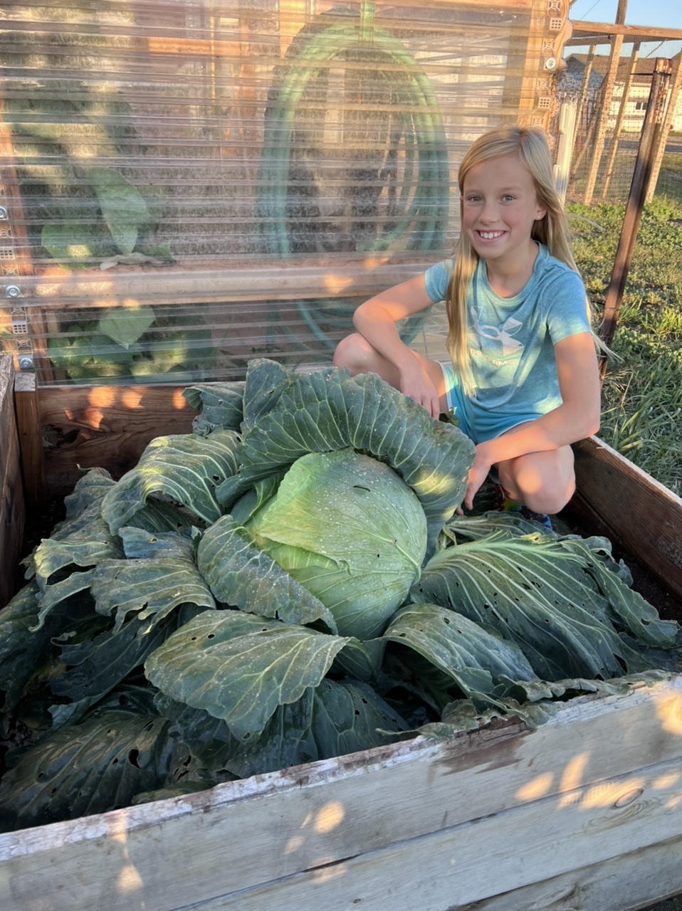 2021 -2022 Winners – Bonnie Plants Cabbage Program