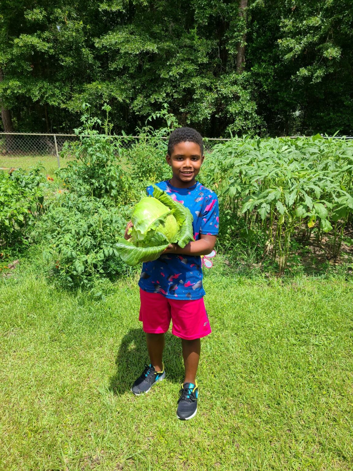 2021 -2022 Winners – Bonnie Plants Cabbage Program
