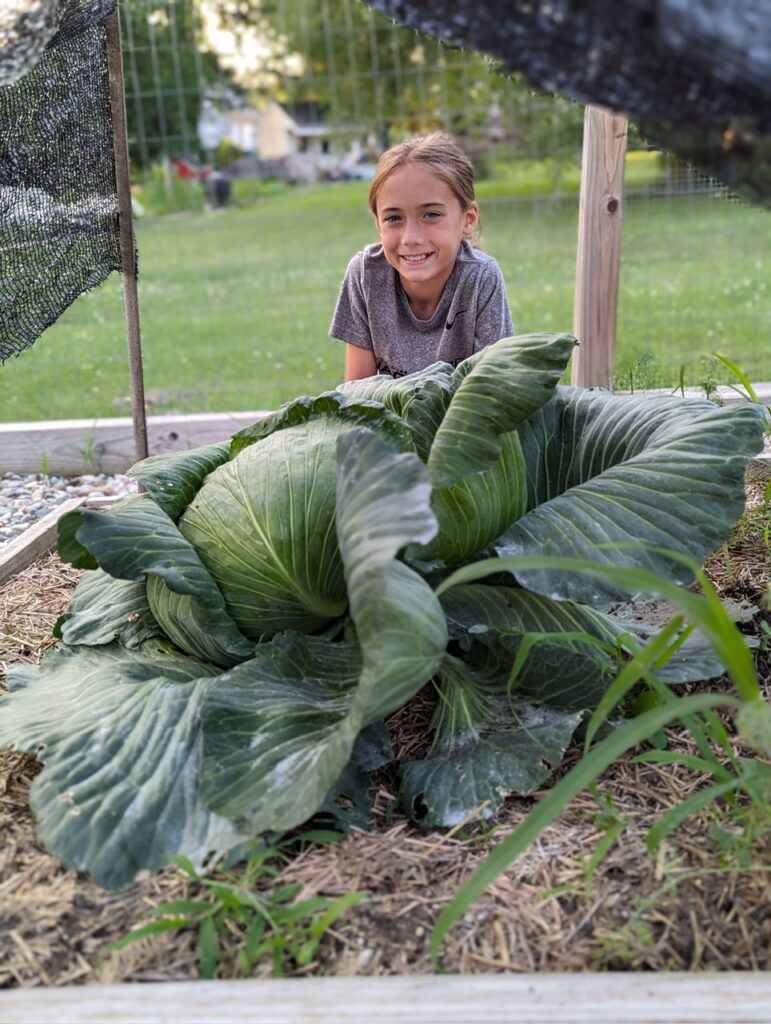 2022-2023 Winners – Bonnie Plants Cabbage Program