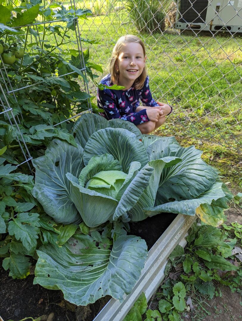 2022-2023 Winners – Bonnie Plants Cabbage Program