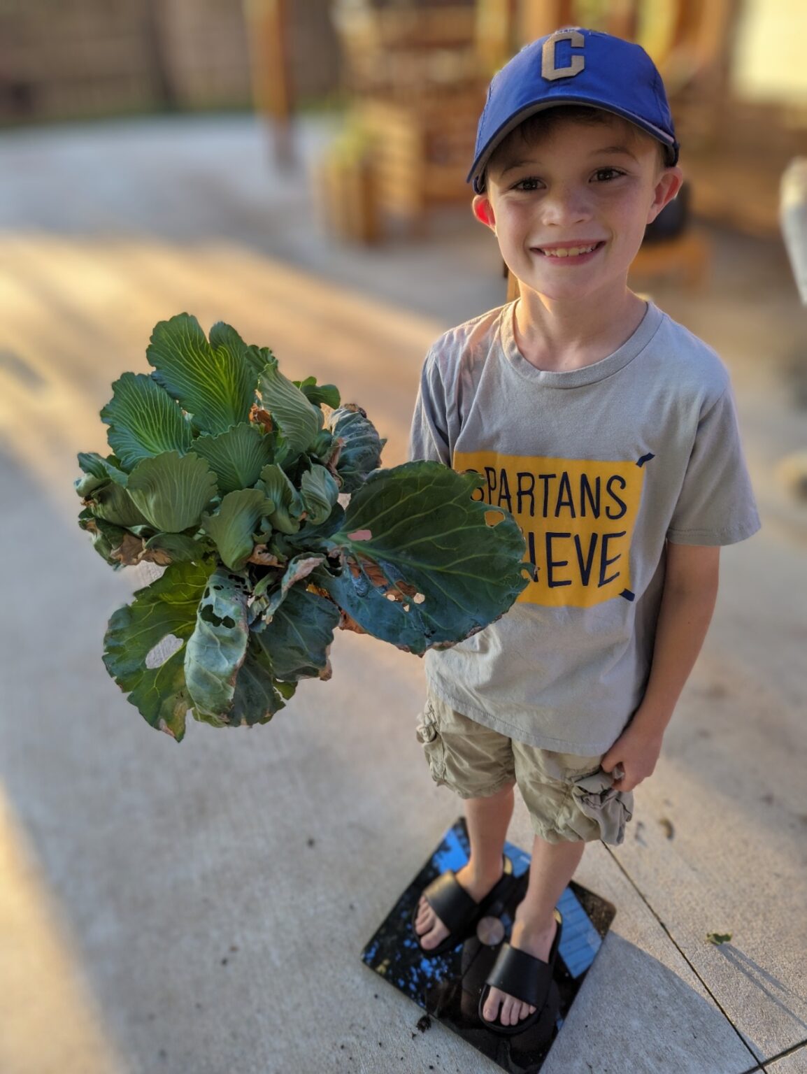 2022-2023 Winners – Bonnie Plants Cabbage Program