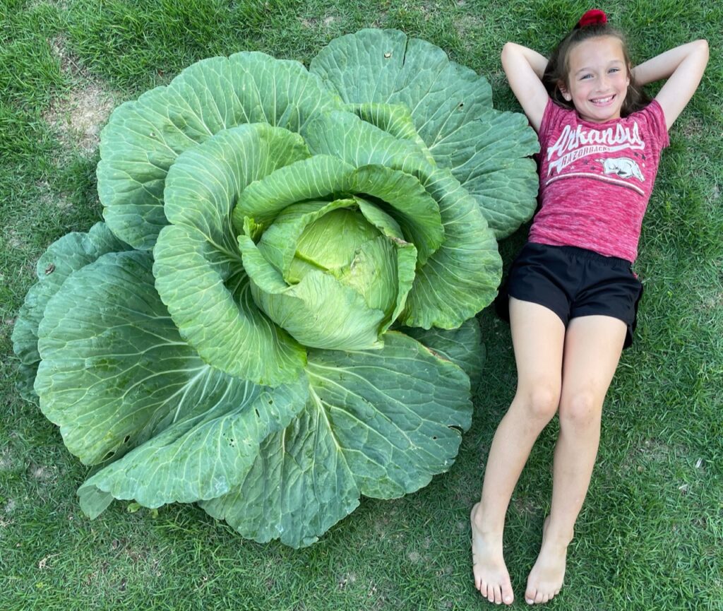 2022-2023 Winners – Bonnie Plants Cabbage Program