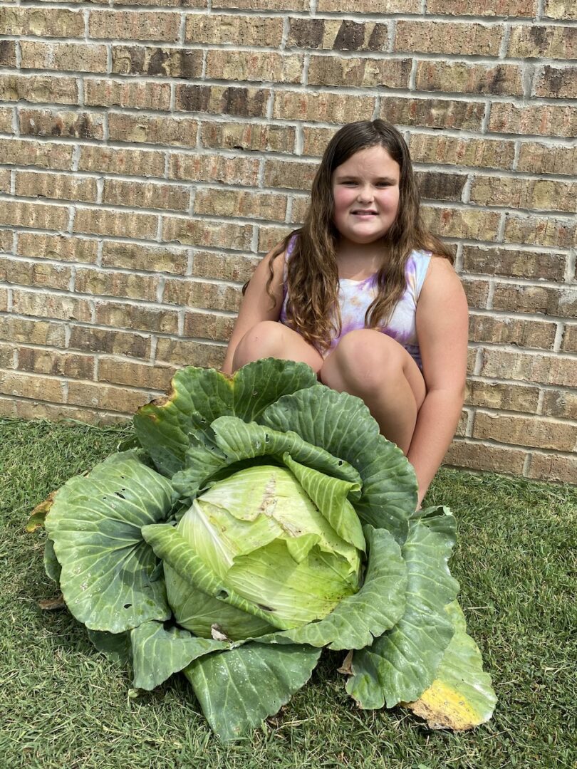 2022-2023 Winners – Bonnie Plants Cabbage Program