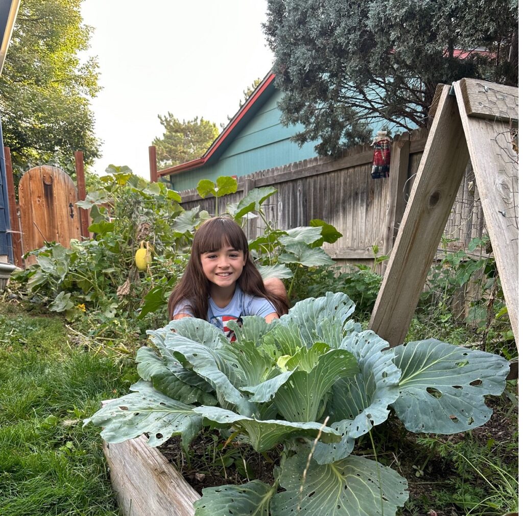 2022-2023 Winners – Bonnie Plants Cabbage Program