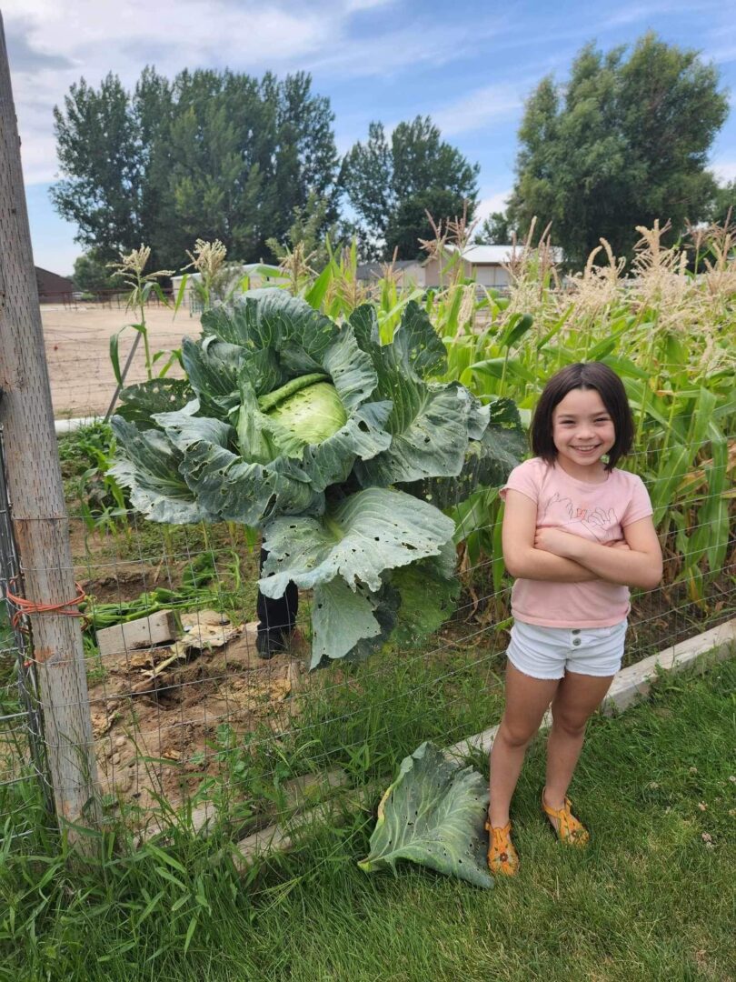 2022-2023 Winners – Bonnie Plants Cabbage Program
