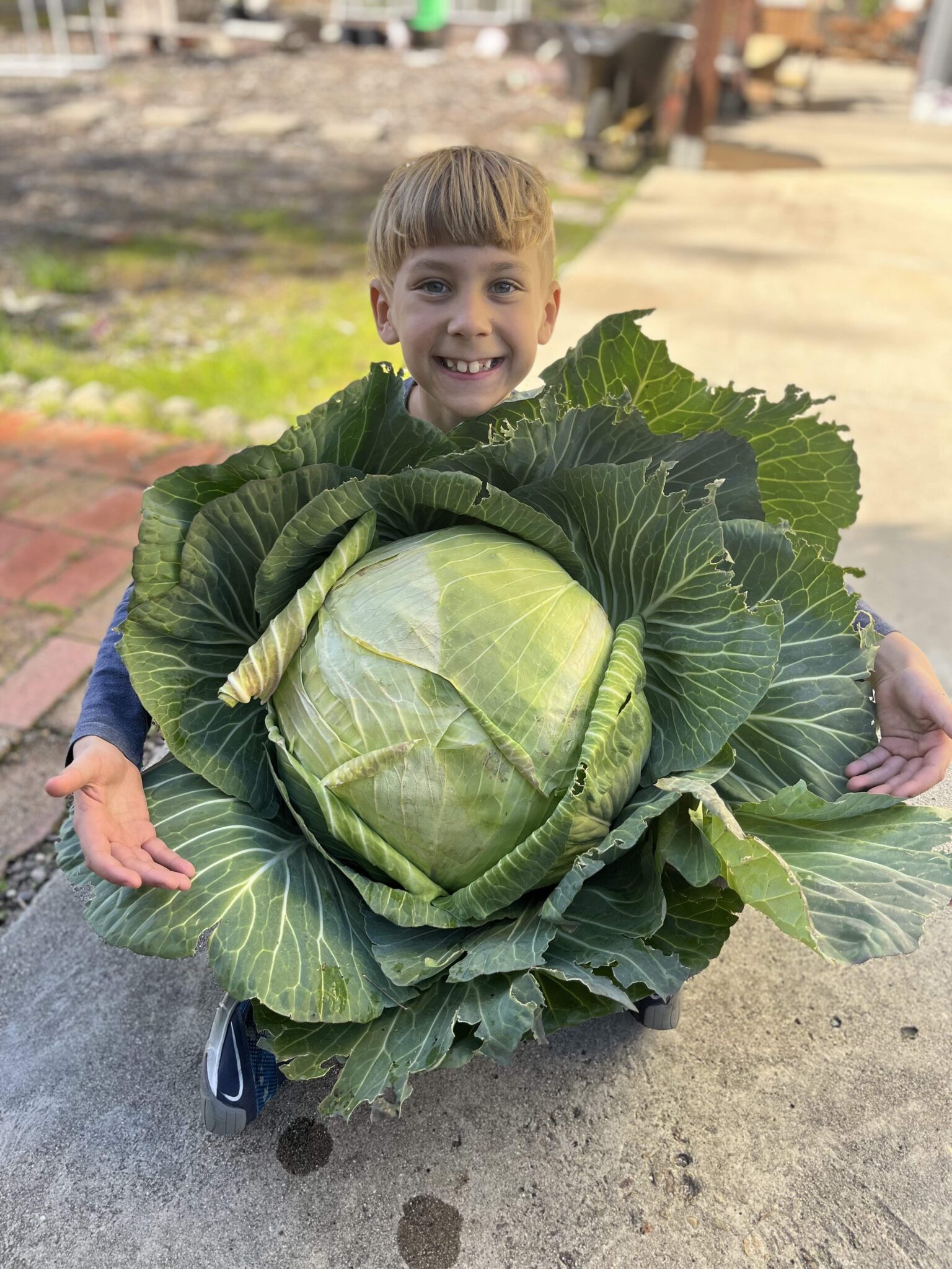2024 – 2025 Winners – Bonnie Plants Cabbage Program